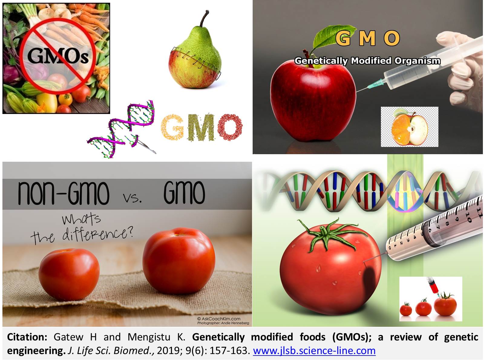 Vol. 9 : No. 6, Nov 2019 - Journal of Life Science and Biomedicine